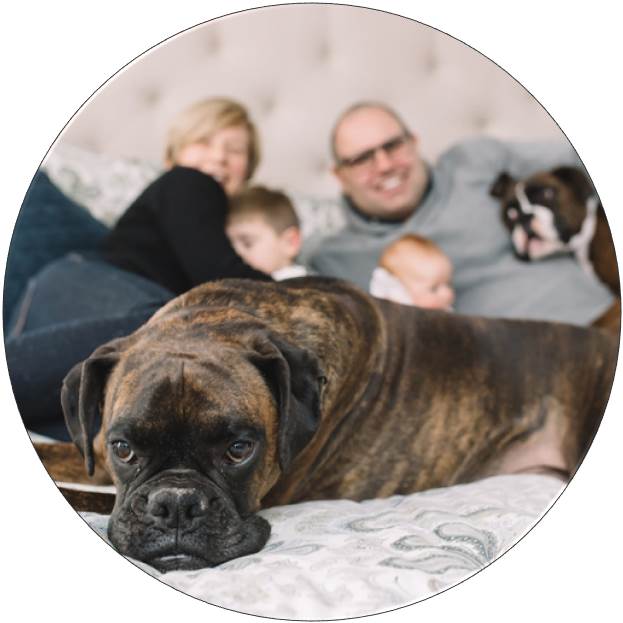 Slobbr ← Netcapital